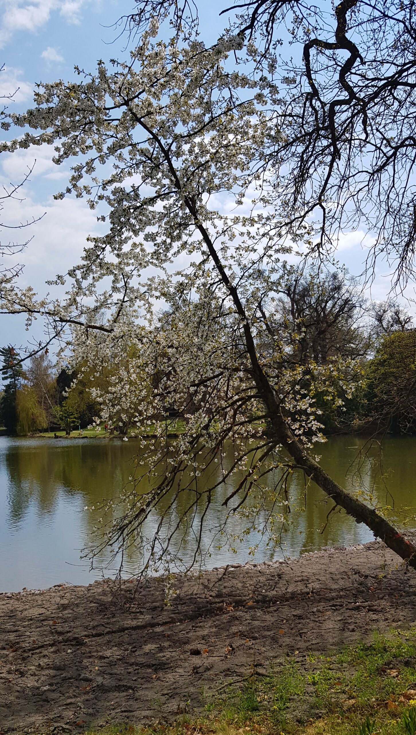 Babymoon in Moravia – Adventurings