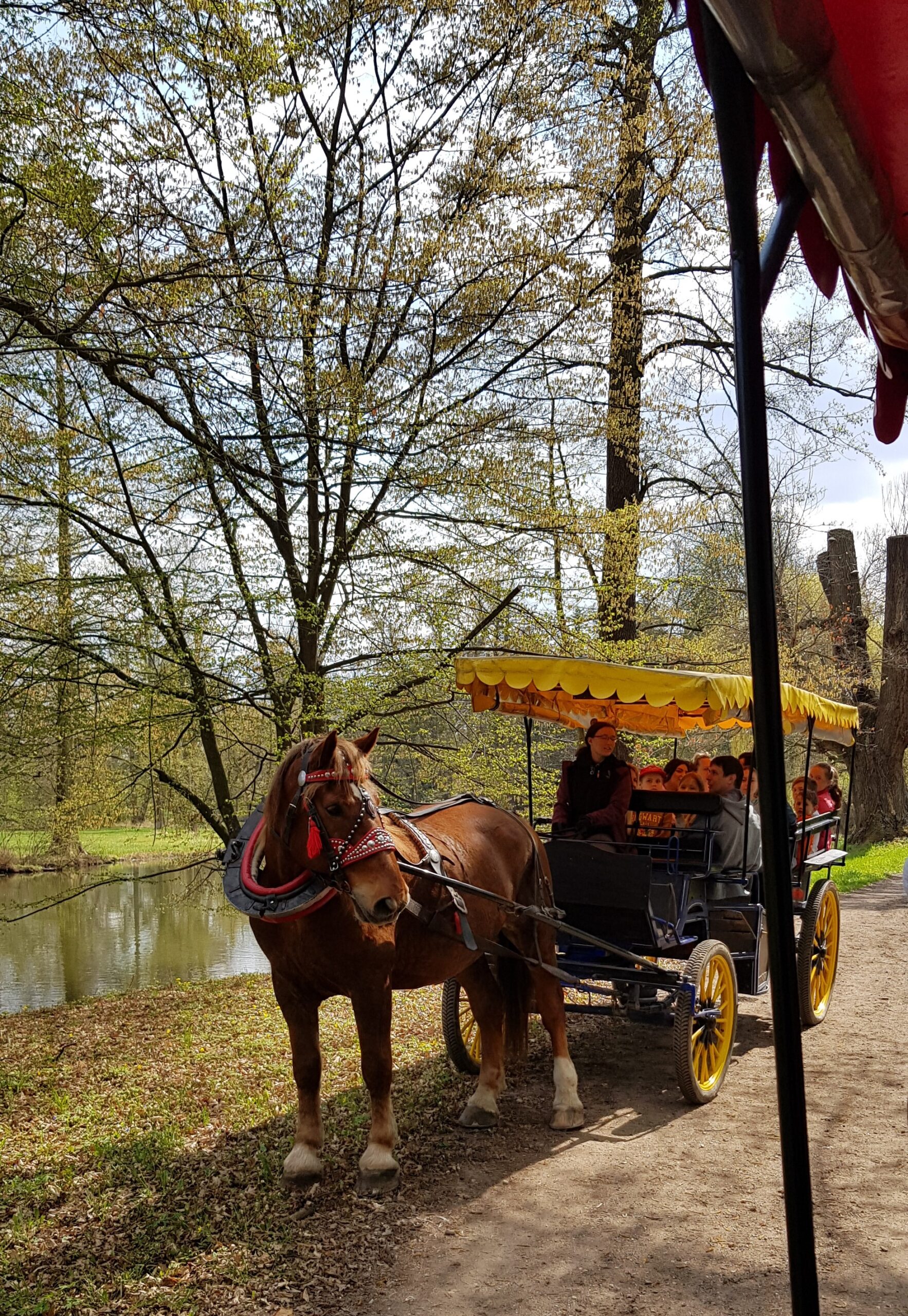 Babymoon in Moravia – Adventurings